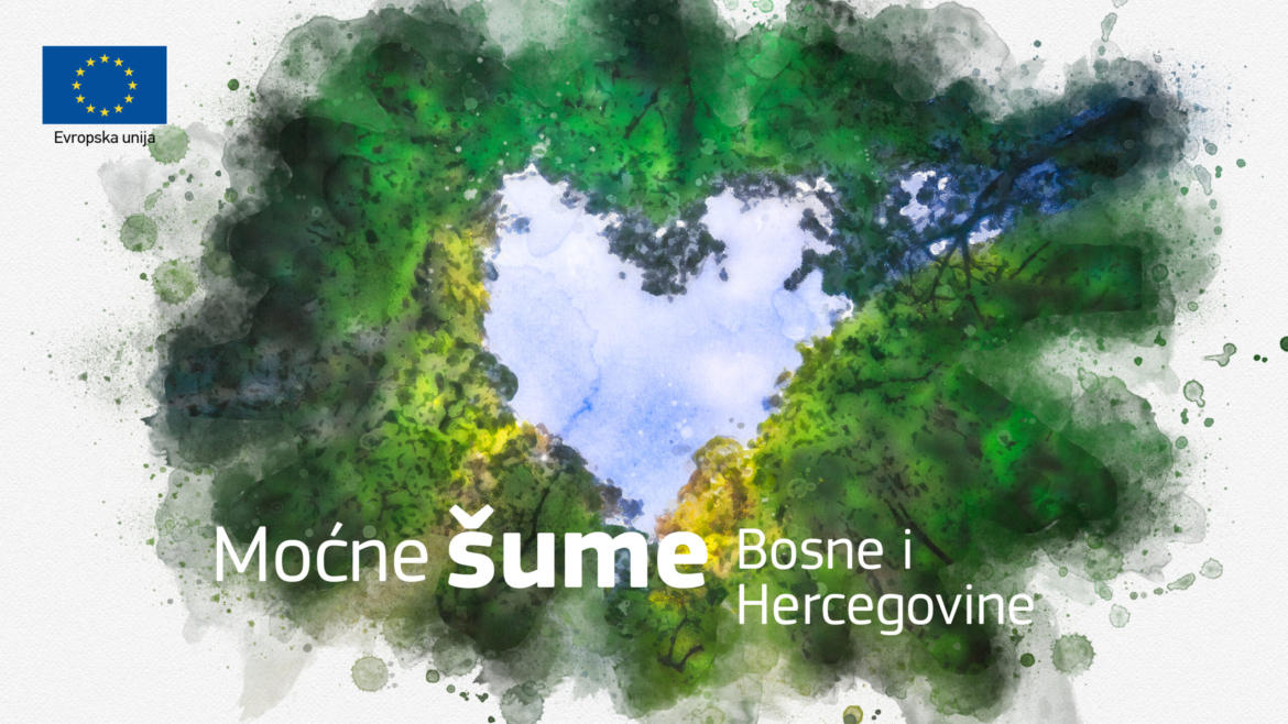 Šumarsvo Srednje Neretvansko Mostar | Uzgoj, zaštita i sječa šume
